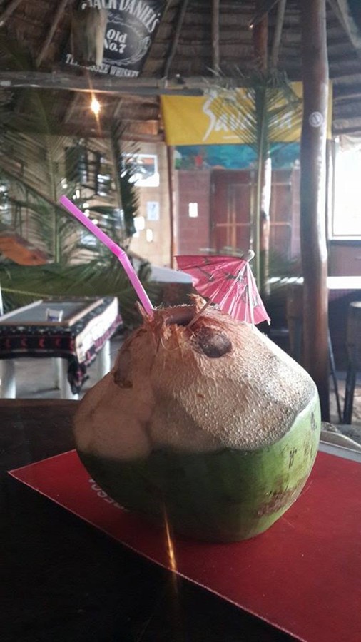 2025/26 Dino's Restaurant & Bar - Tofo Restaurants & Bars