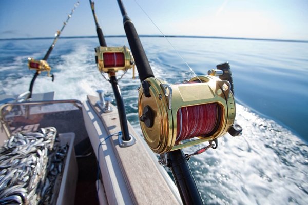 2026 Chicamba Dam Fishing Charters, Mozambique